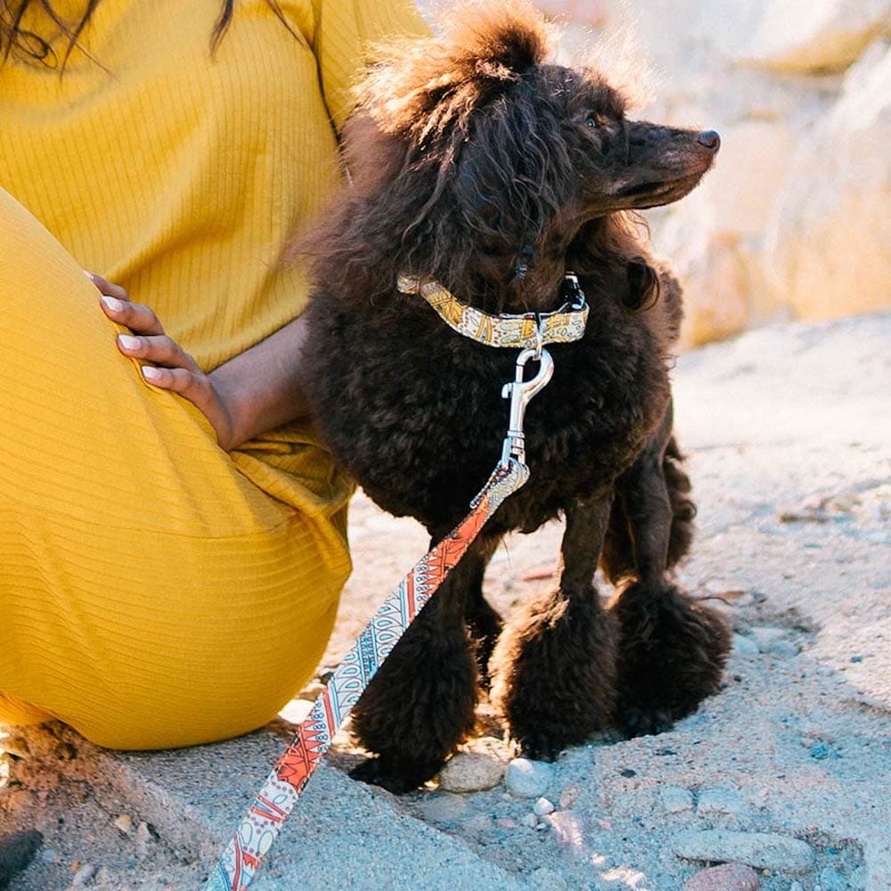 Brott Barcelona JAPAN公式サイト