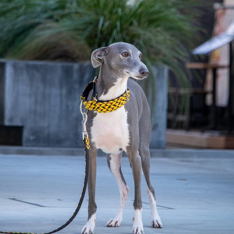 Brott Barcelona (ブロット バルセロナ)について